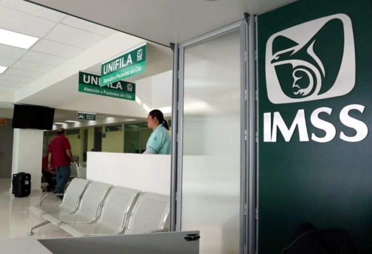 Ley del IMSS - CISV